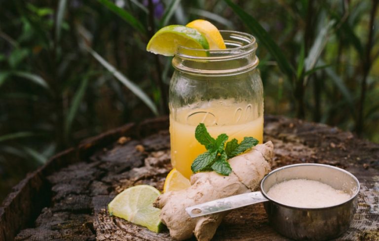 Everything You Need To Know About Ginger Beer Drink