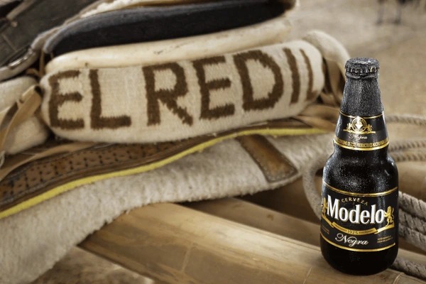 Negra Modelo Alcohol Content: Everything You Need to Know