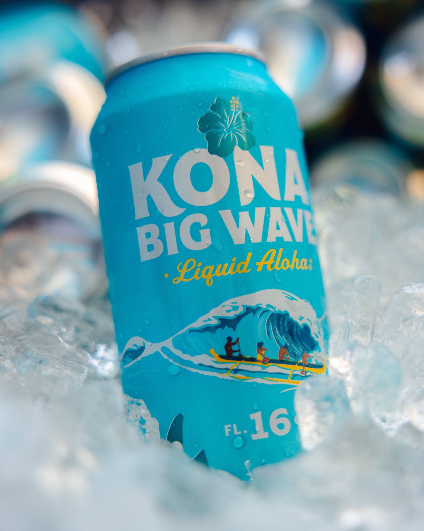 Kona Big Wave Alcohol Content – ABV, Taste & More